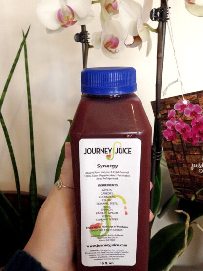 Synergy - Journey Juice